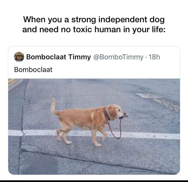 Eternal cycle - KillSomeTime